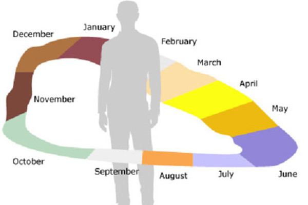 How to you "visualise" a year? | Mumsnet