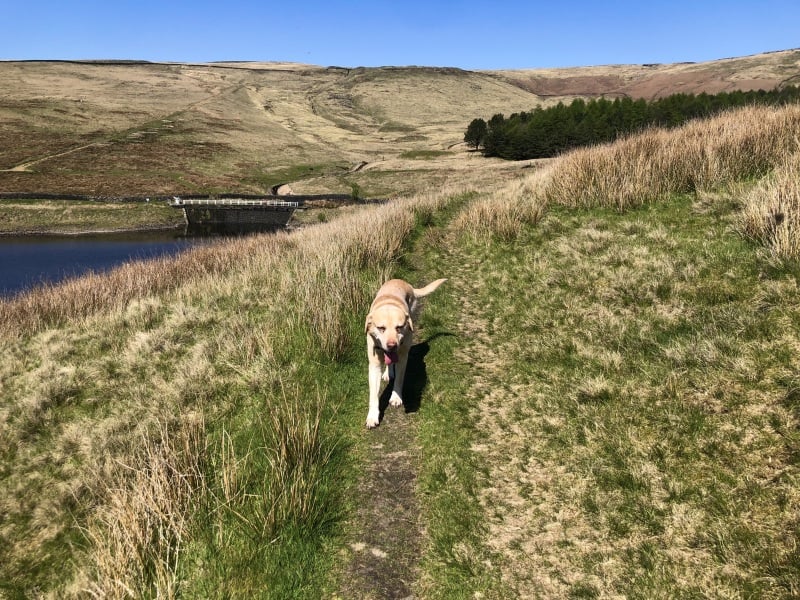 Page 11 | Do you remember this Mumsnet story…? Update | Mumsnet